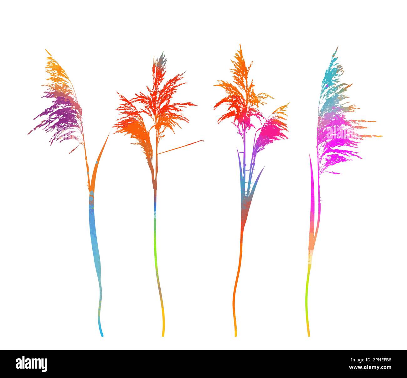 Set of colorful reeds silhouette objects. Vector illustration Stock ...