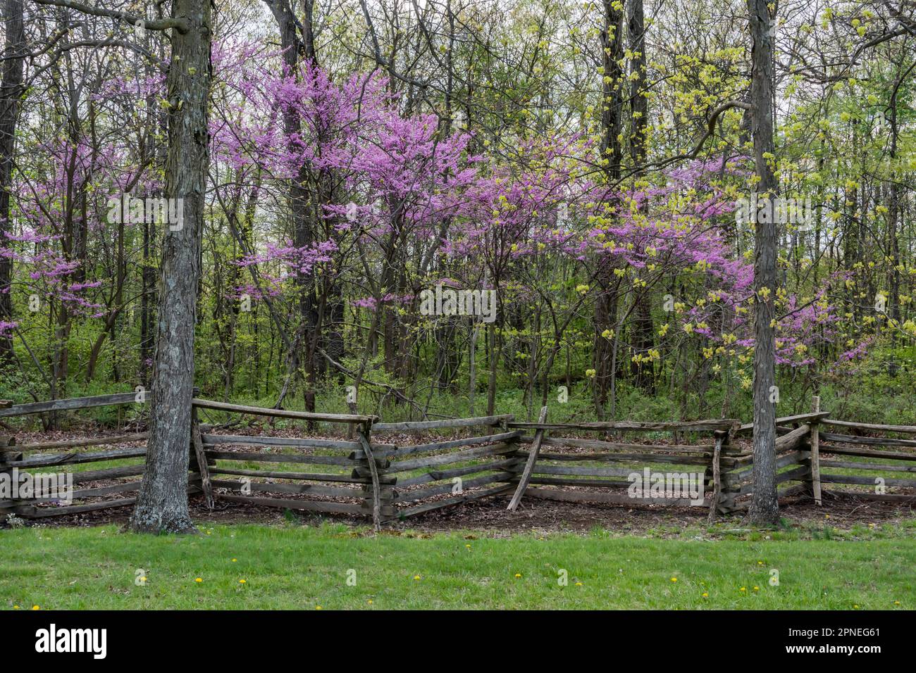 Rail yard pennsylvania hi-res stock photography and images - Alamy