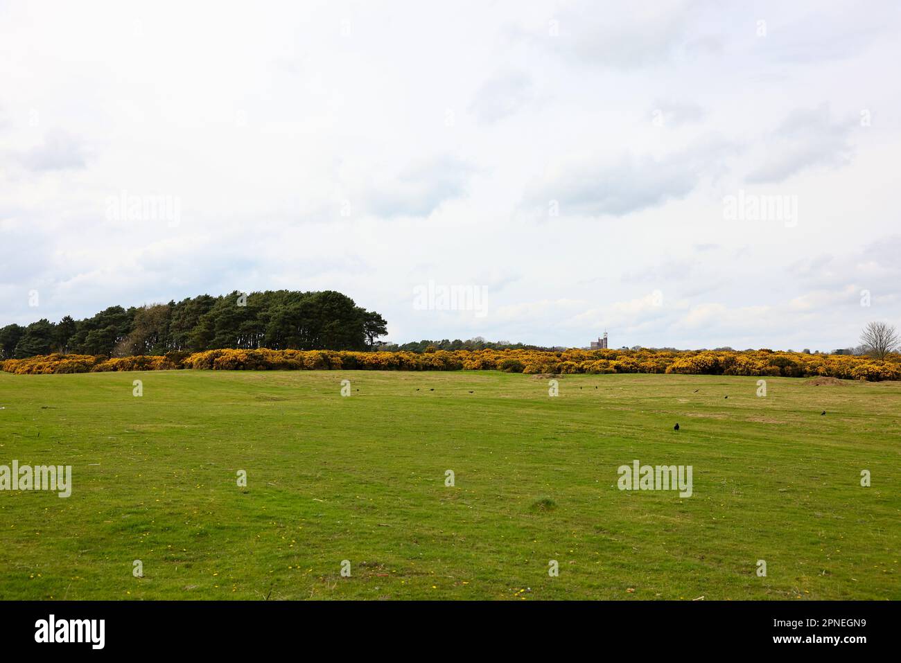 Curragh camp hi-res stock photography and images - Alamy