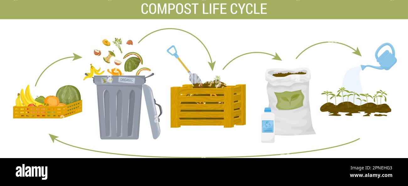 Compost composting flat infographic with compost life cycle description ...