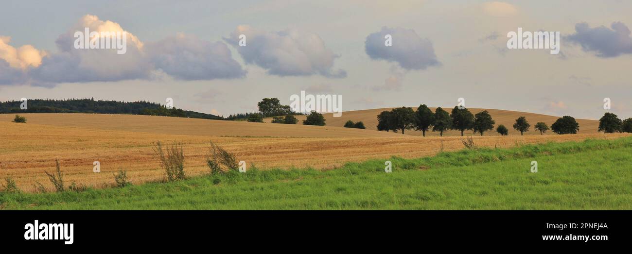 Meadow field denmark hi-res stock photography and images - Alamy
