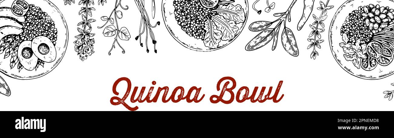 Quinoa bowl background. Hand drawn vector illustration in sketch style ...
