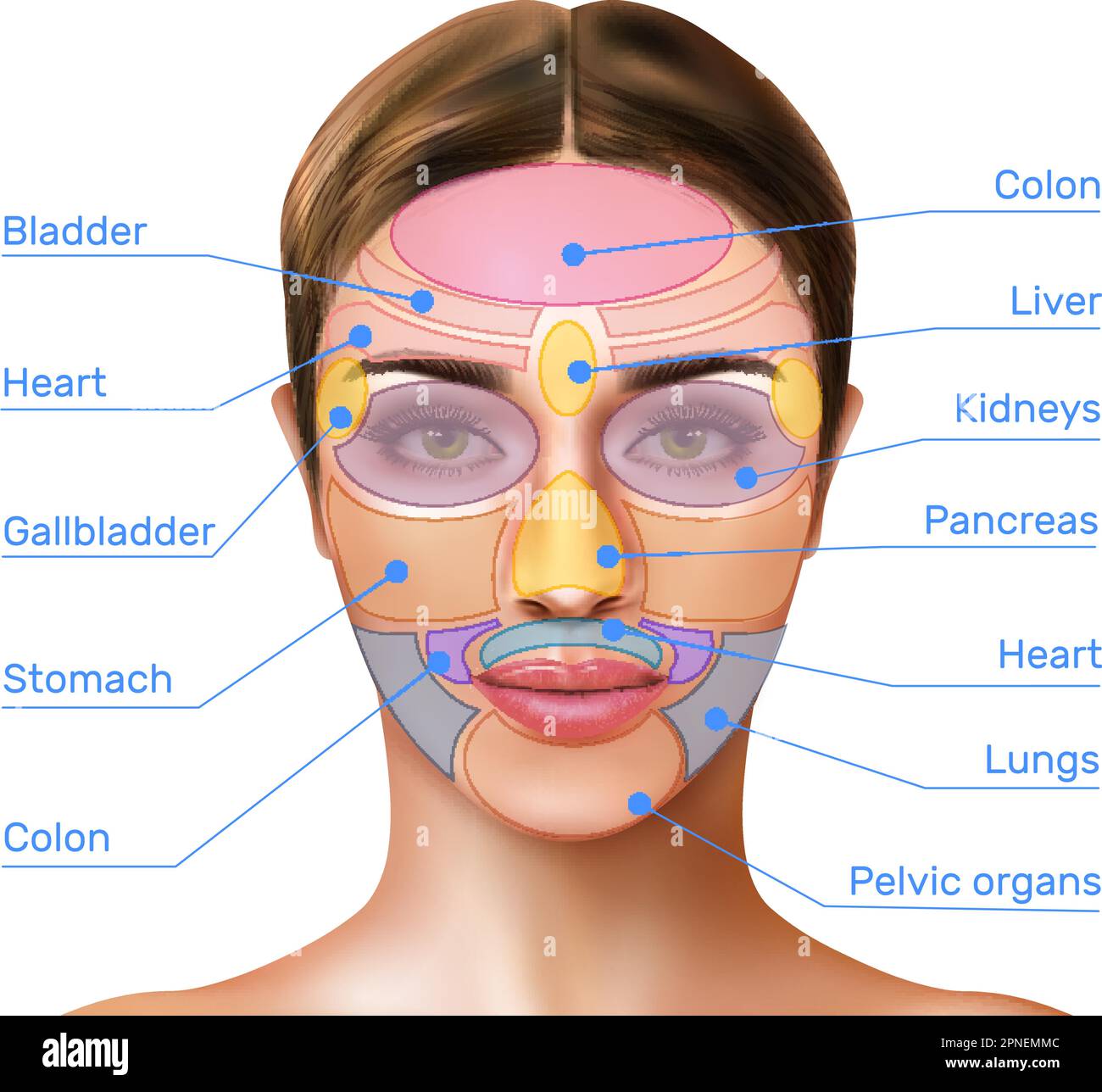 Face Mapping Reflexology Realistic Infographics With Massage Zones