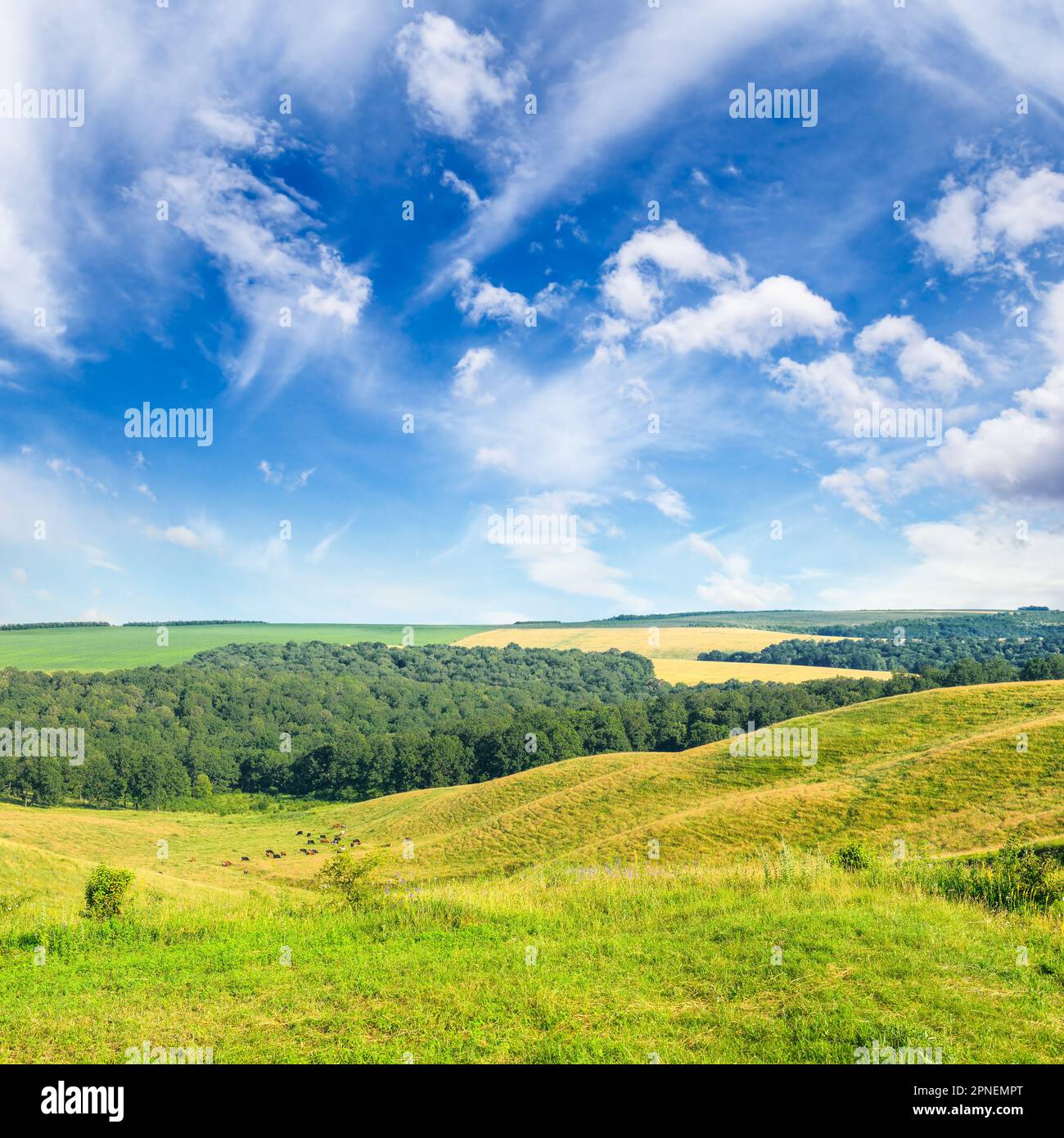 Pasture land grass hi-res stock photography and images - Alamy