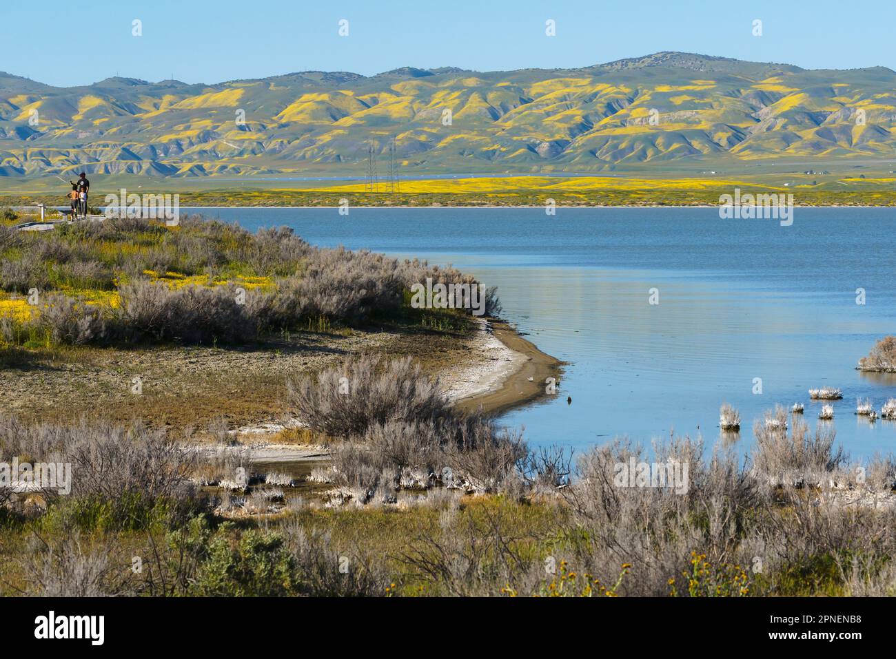 Soda Lake Plaque at Wilford Shaw blog