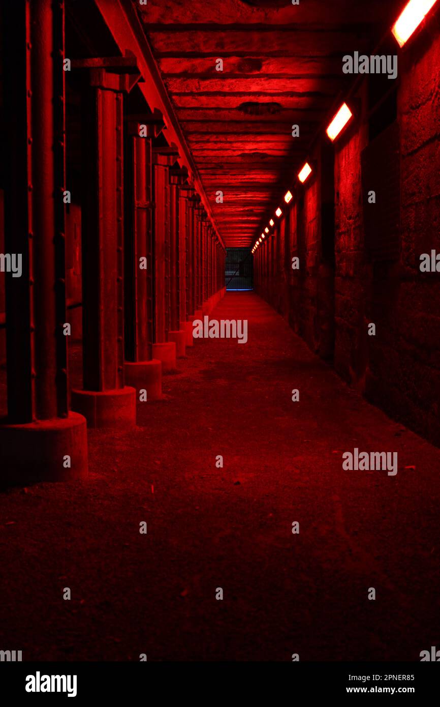 Hallway with red lights Stock Photo - Alamy