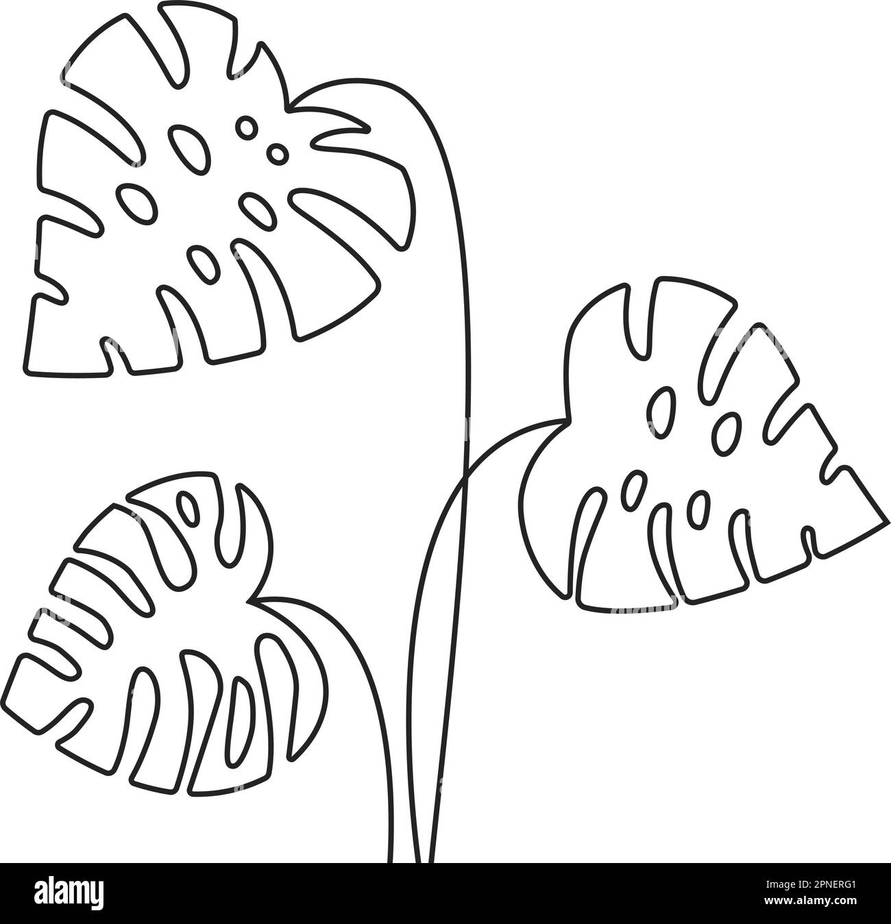 Drawing leaves stem palm Black and White Stock Photos & Images - Alamy