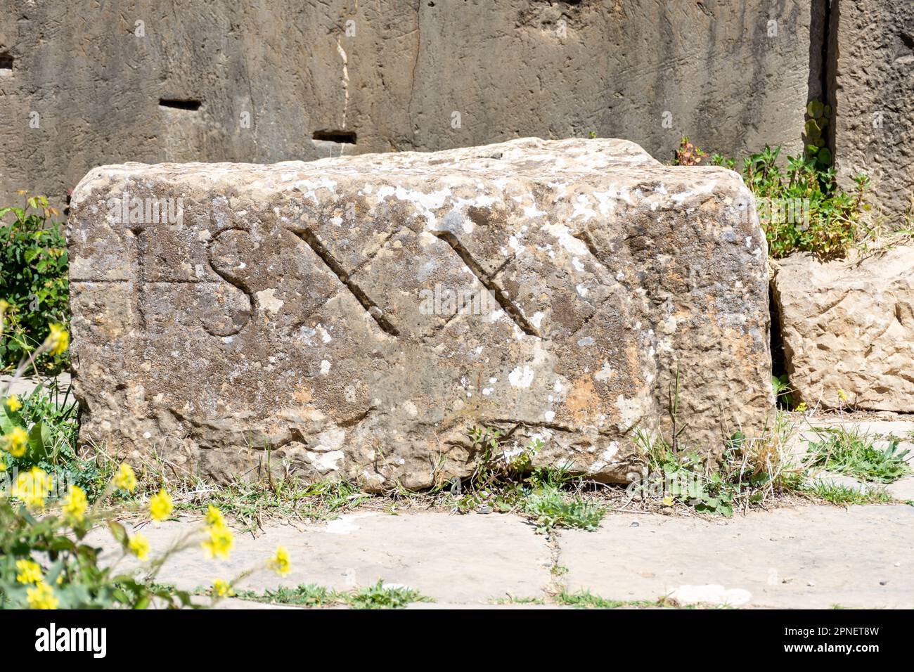 Stone with an inscription in Latin script in the ancient city of Cuicul ...