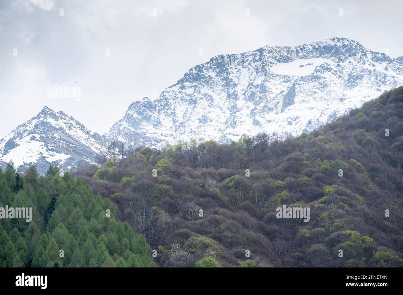 Maritime Alps, Piedmont (Italy). Snow capped peaks in late winter ...