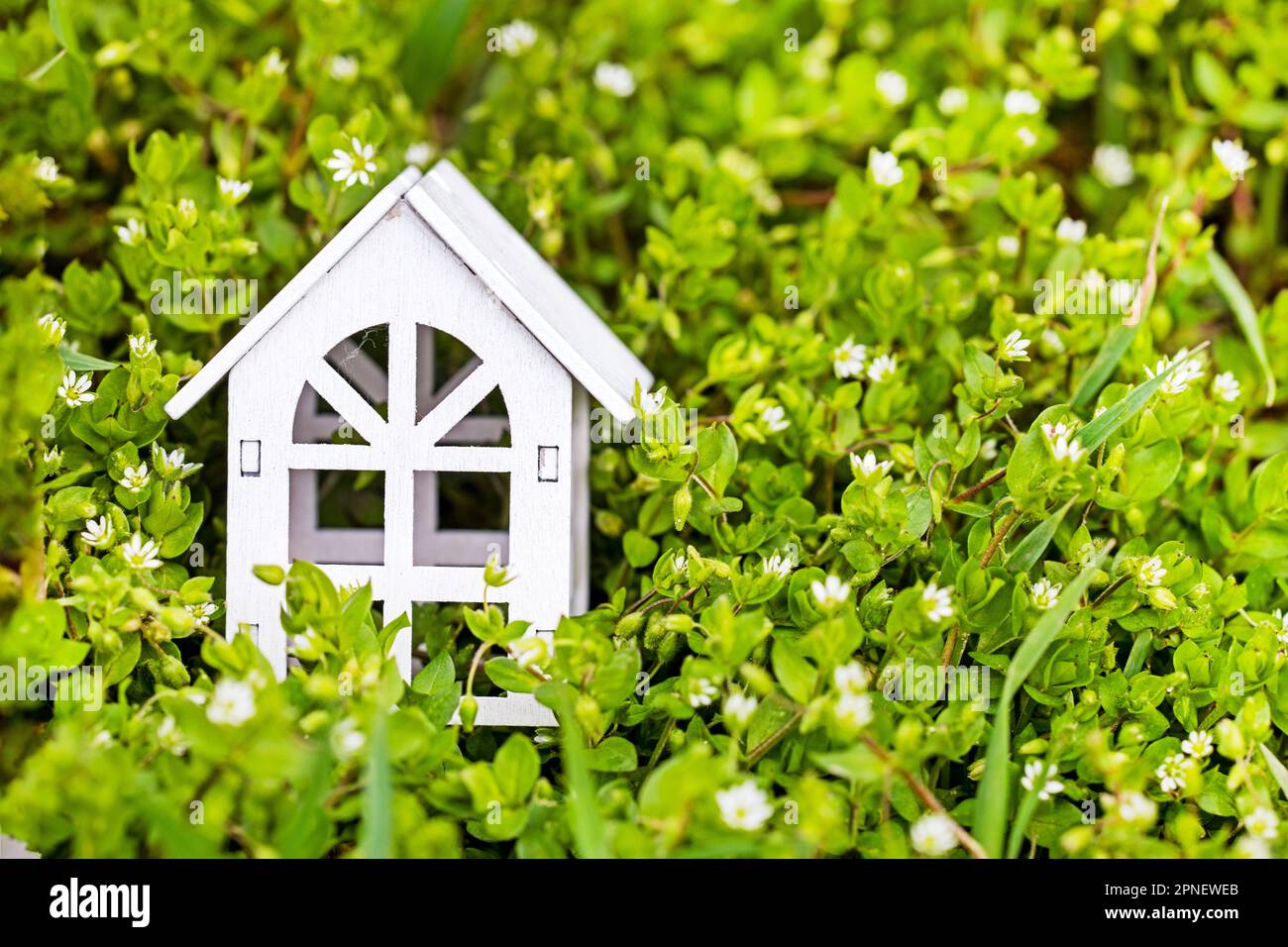 white house on a background of white flowers. Ecological real estate ...