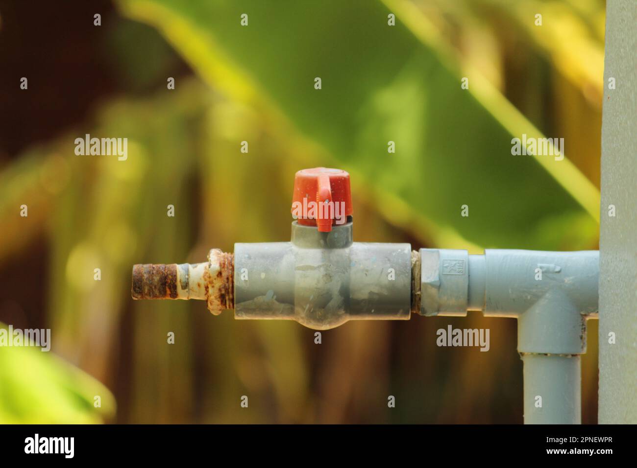 Close up shot of water pipe with red closing tab on the top on the home ...