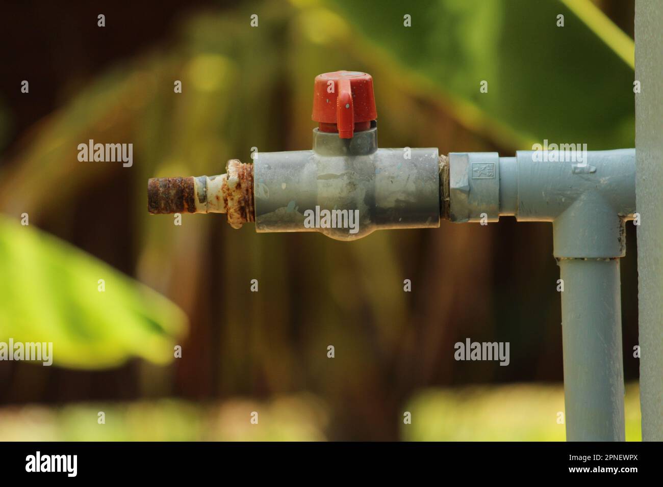Close up shot of water pipe with red closing tab on the top on the home ...