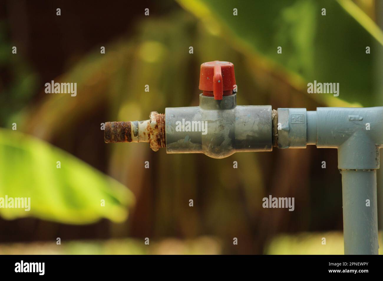 Close up shot of water pipe with red closing tab on the top on the home ...