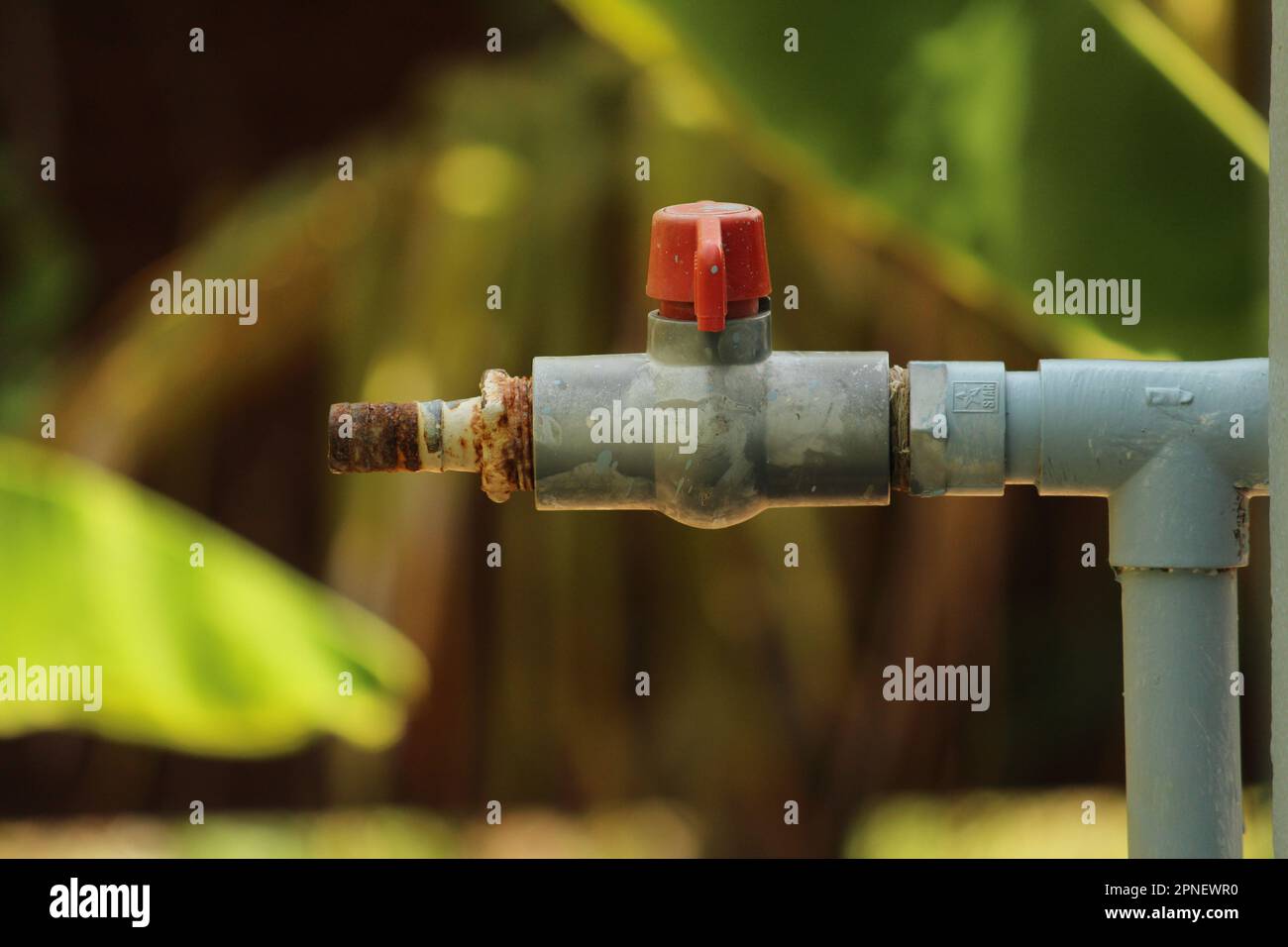 Close up shot of water pipe with red closing tab on the top on the home ...