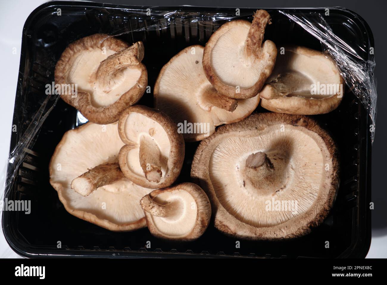 Shiitake Mushroom in black package on white background in macro shot ...