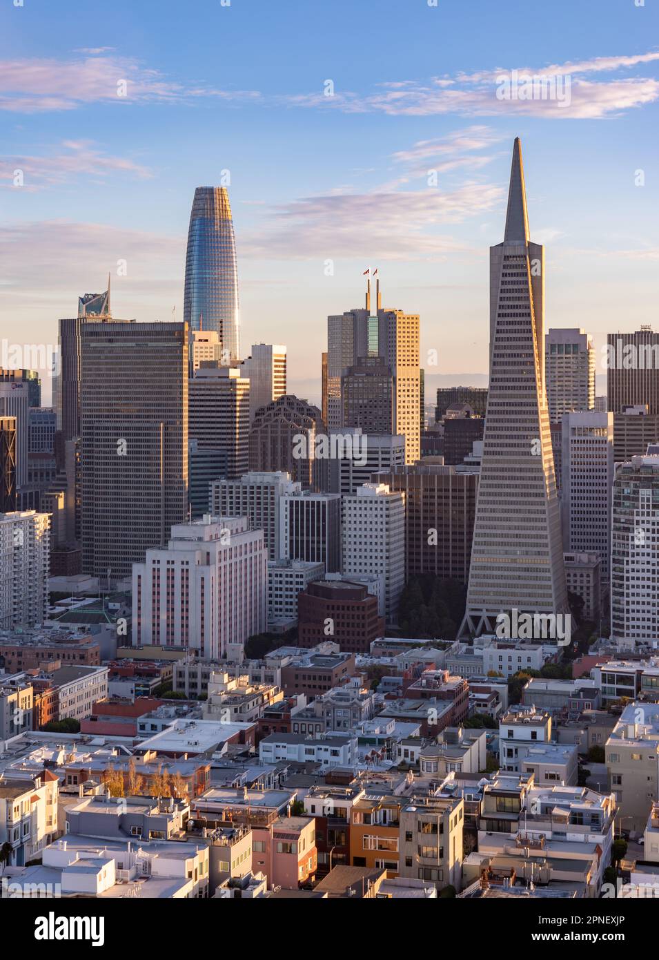 A picture of the Transamerica Pyramid, the Salesforce Tower and the ...