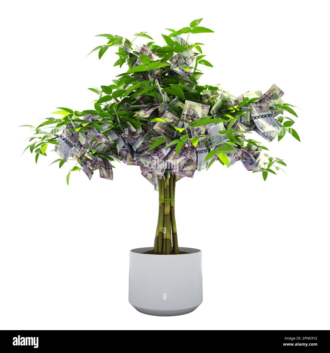Botswanan Pula tree. 3d rendering of Money on tree isolated on white ...