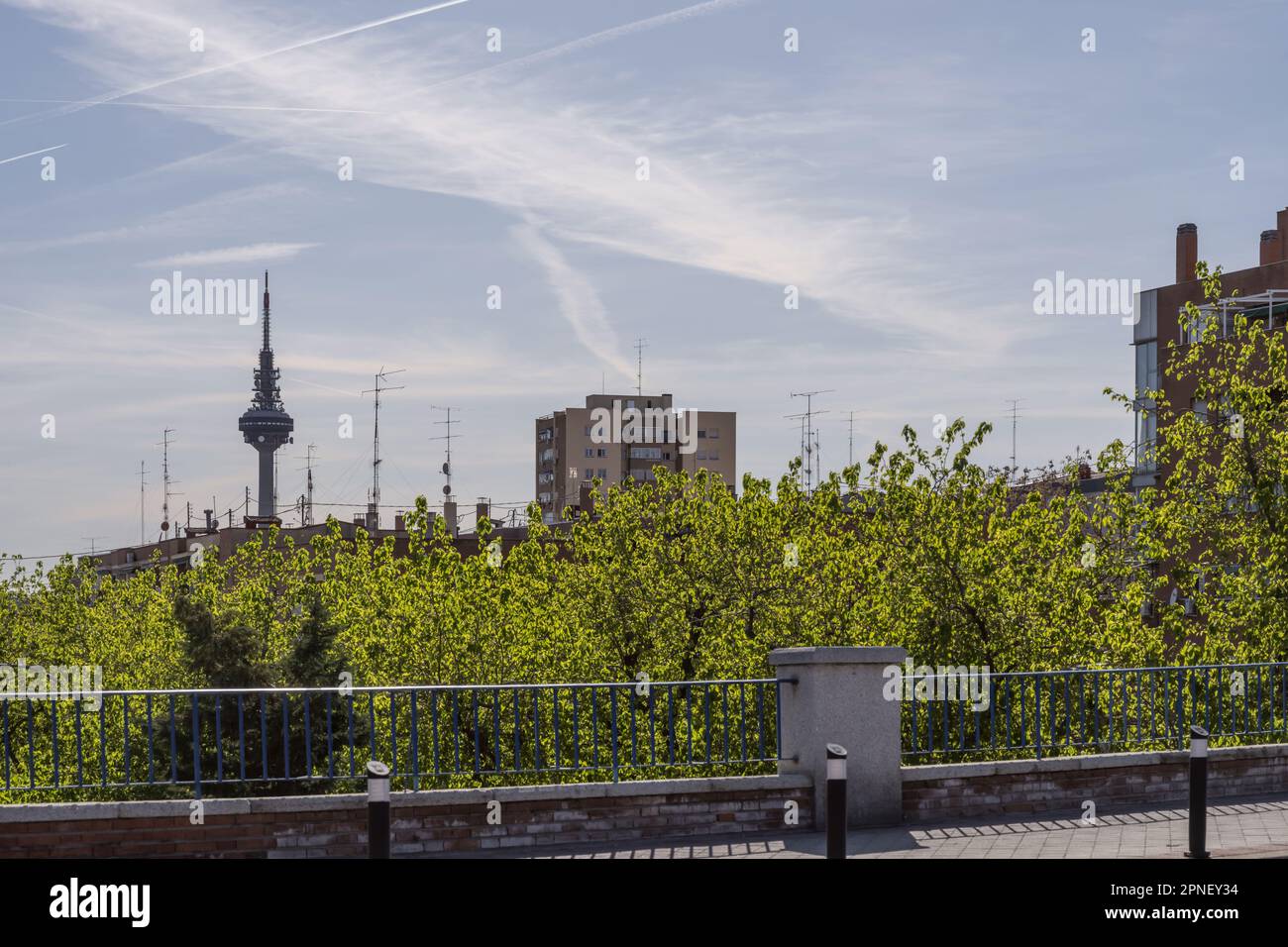 Views from an elevated bridge of a wooded urban park and in the ...