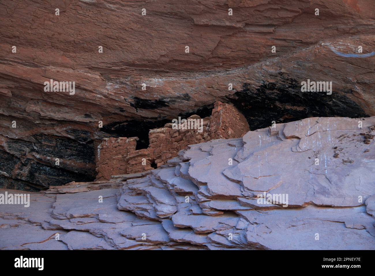 Ruins of an ancient Native American structure in Utah's Grand Gulch ...