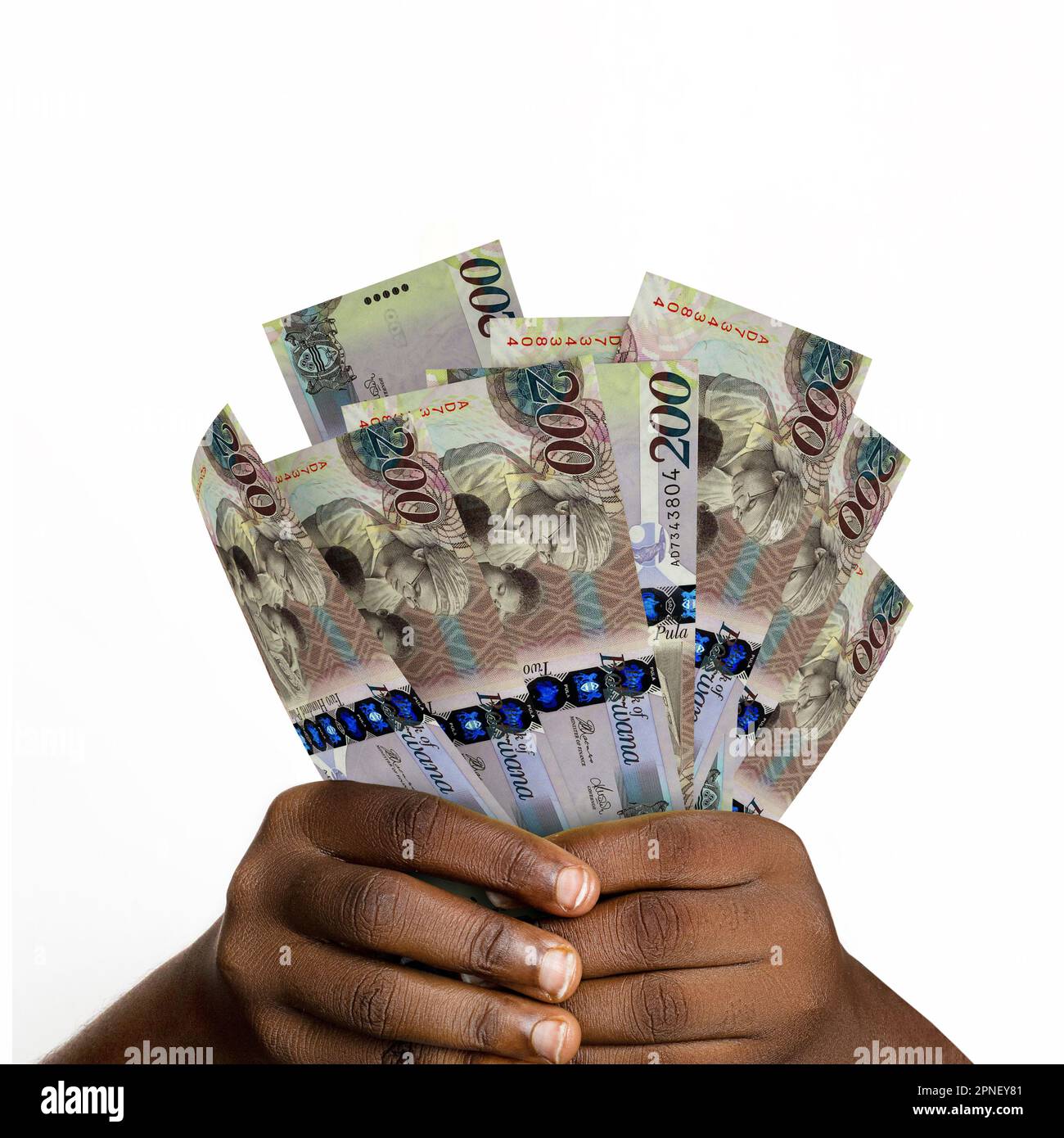 Black Hands in suit holding 3D rendered Botswanan Pula notes Stock ...