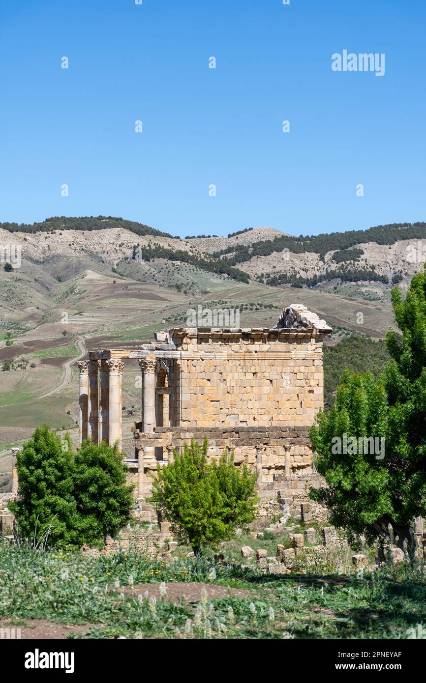 View of (Temple of Gens Septimia) in the ancient city of Cuicul-Djemila ...