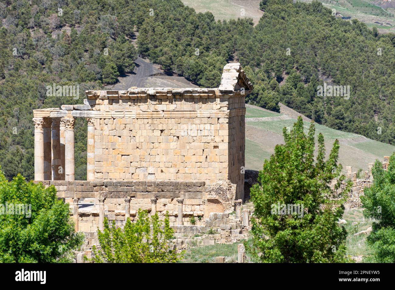 View of (Temple of Gens Septimia) in the ancient city of Cuicul-Djemila ...