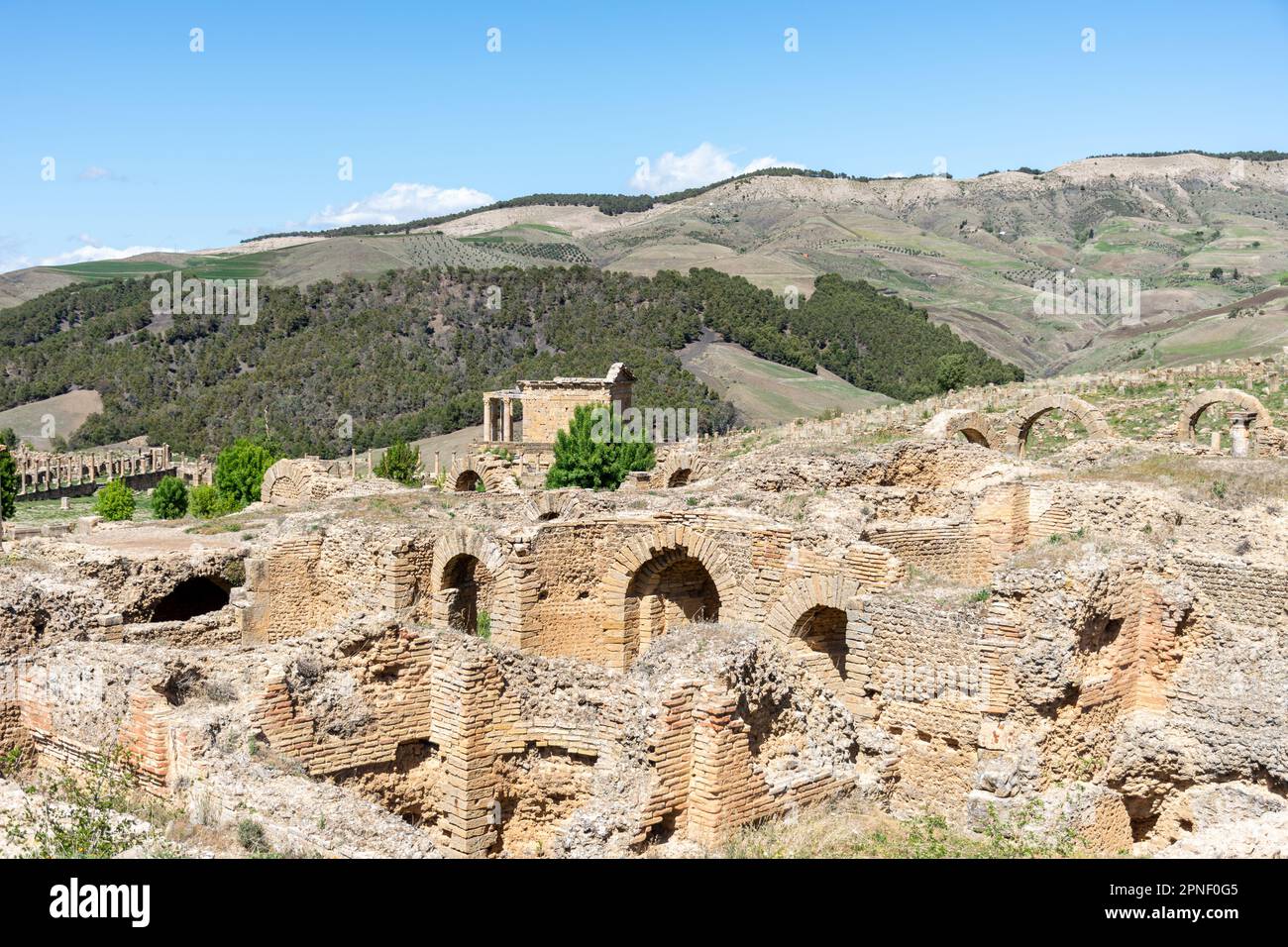 View of (Temple of Gens Septimia) in the ancient city of Cuicul-Djemila ...