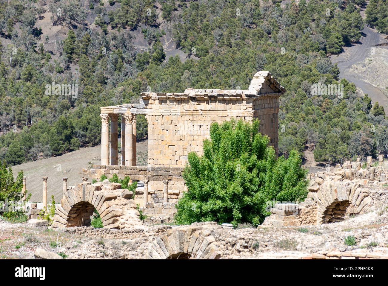 View of (Temple of Gens Septimia) in the ancient city of Cuicul-Djemila ...