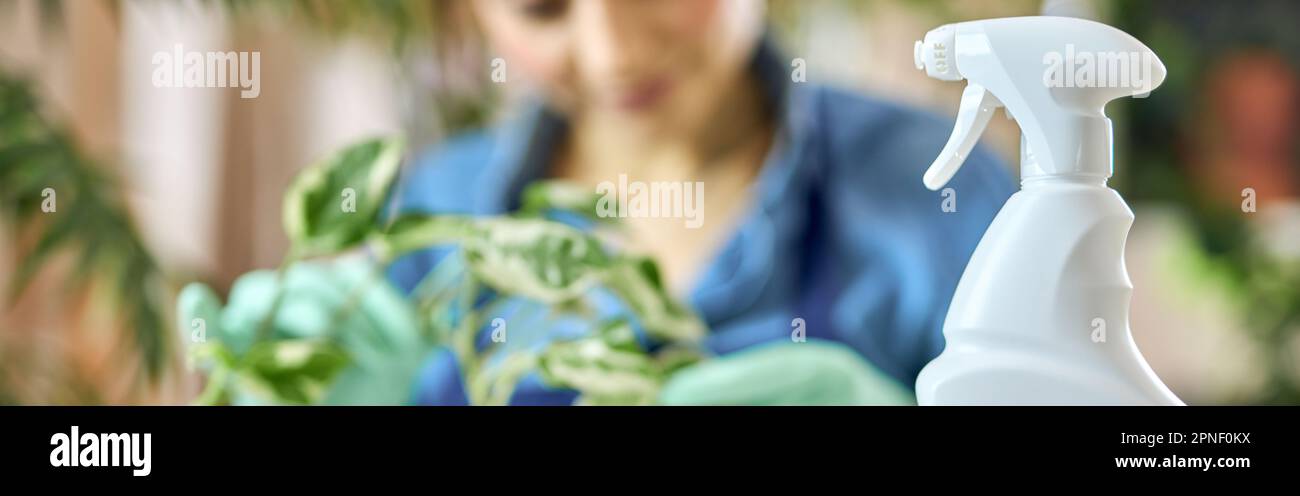 Using green watering bottle hi-res stock photography and images - Alamy