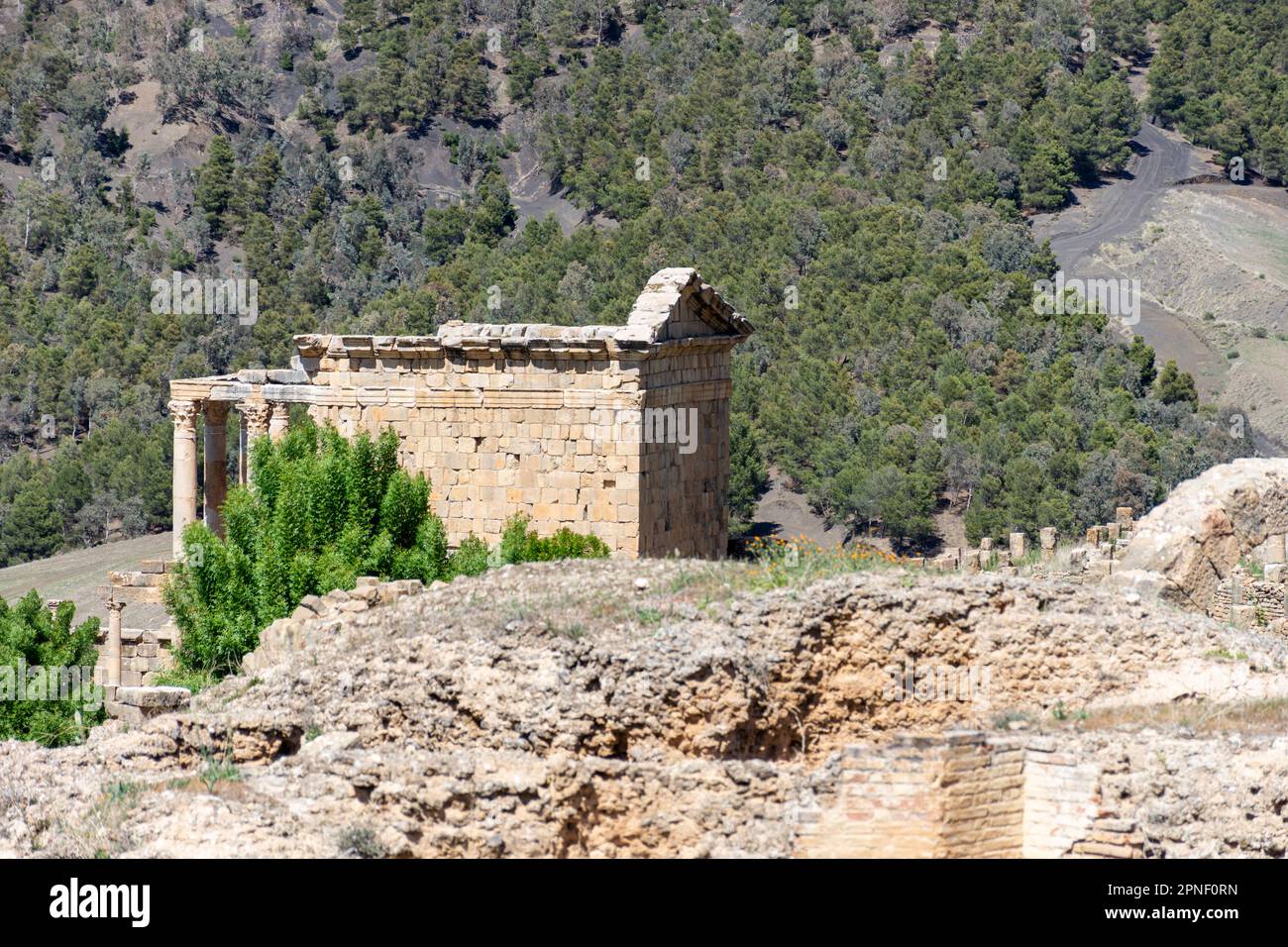 View of (Temple of Gens Septimia) in the ancient city of Cuicul-Djemila ...