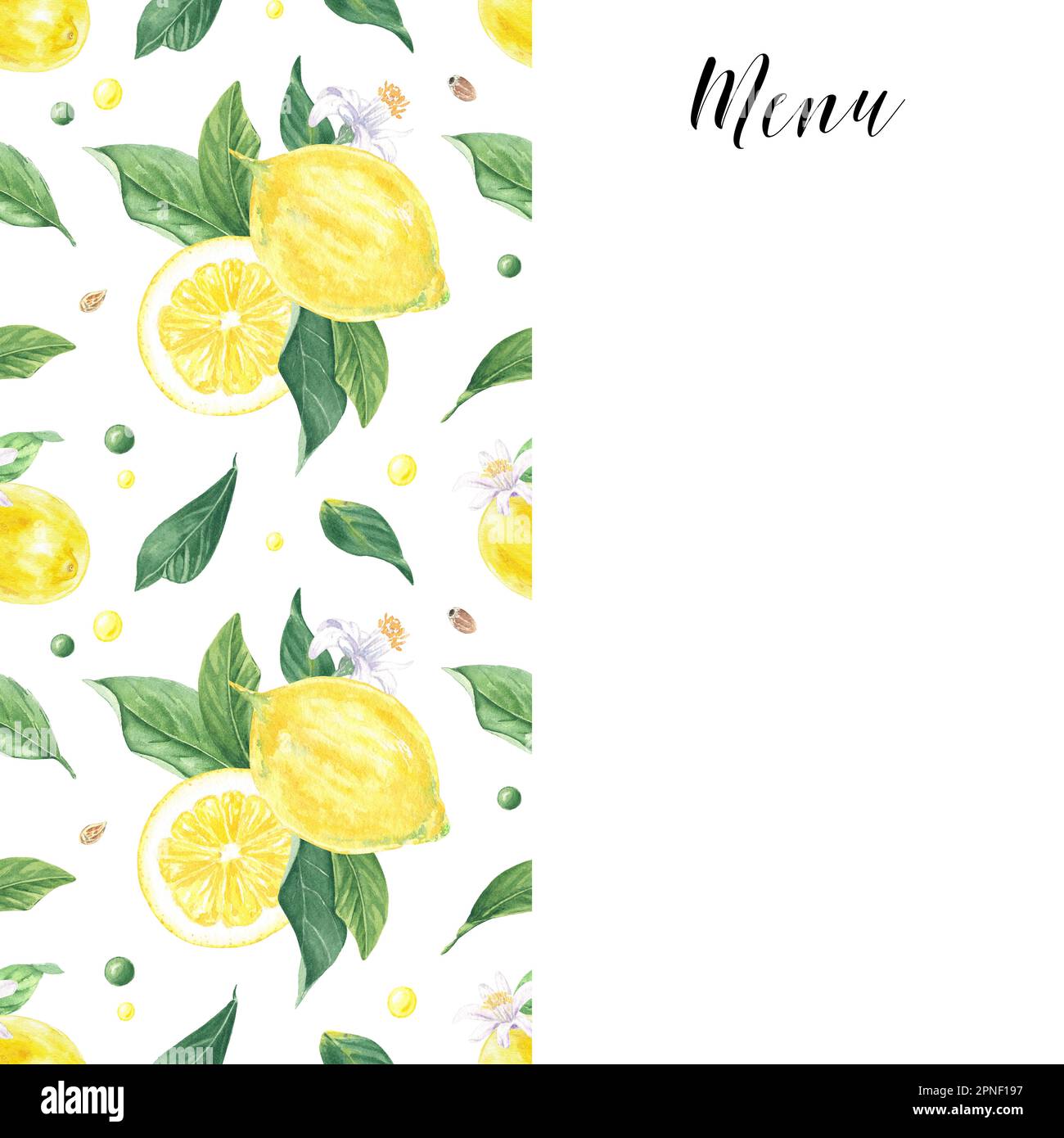 Watercolor illustration frame of lemons, leaves and flowers, hand drawn ...