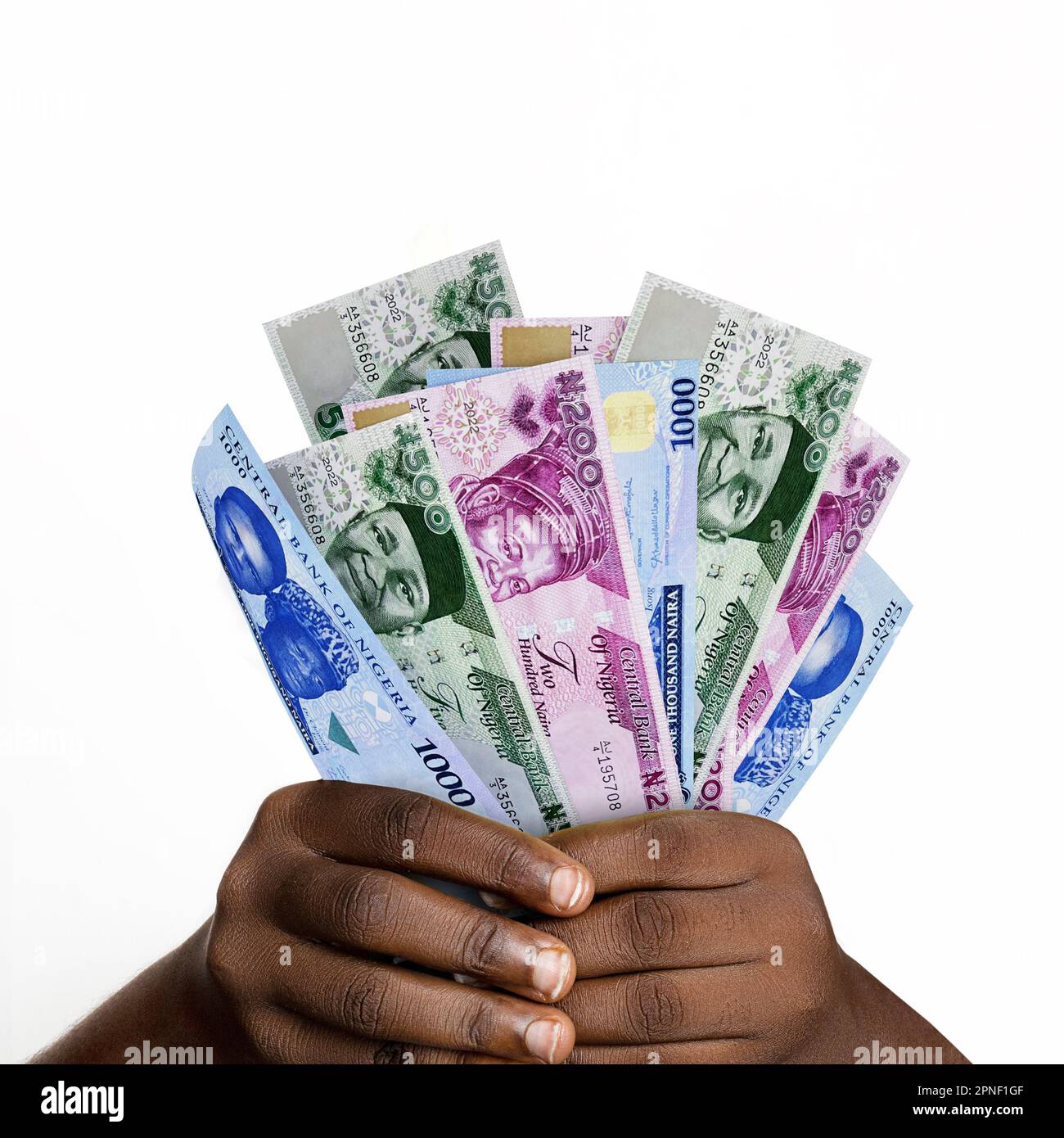 Nigerian Currency Notes