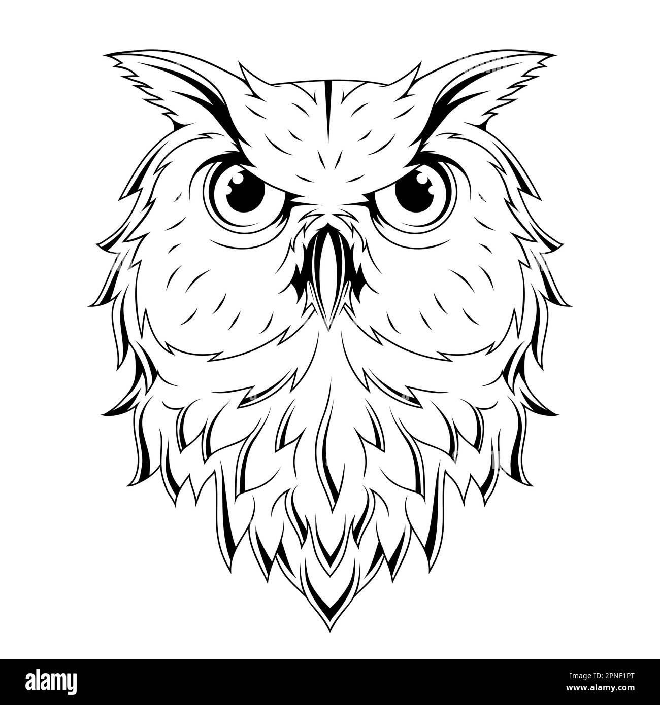 Owl. Vector illustration of a sketch bird. Nocturnal birds of prey with ...