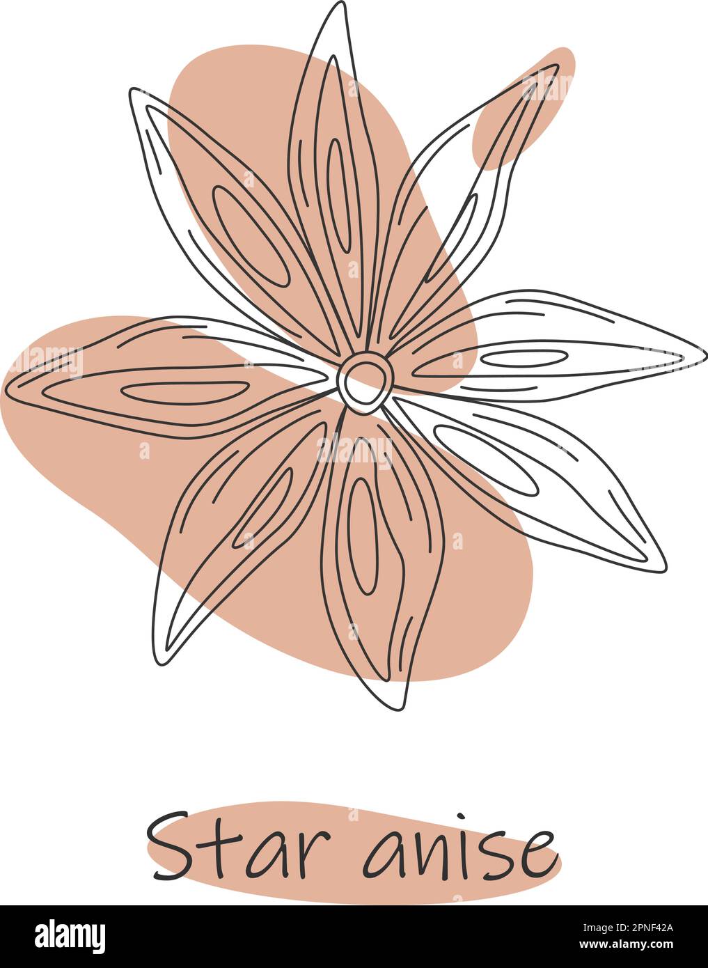 Contour drawing of star anise on abstract brown spots background with ...