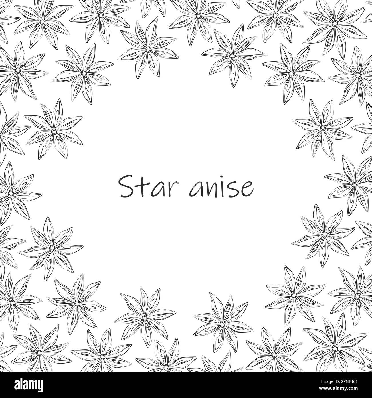 Abstract round frame of anise with lettering star anise and a pattern ...