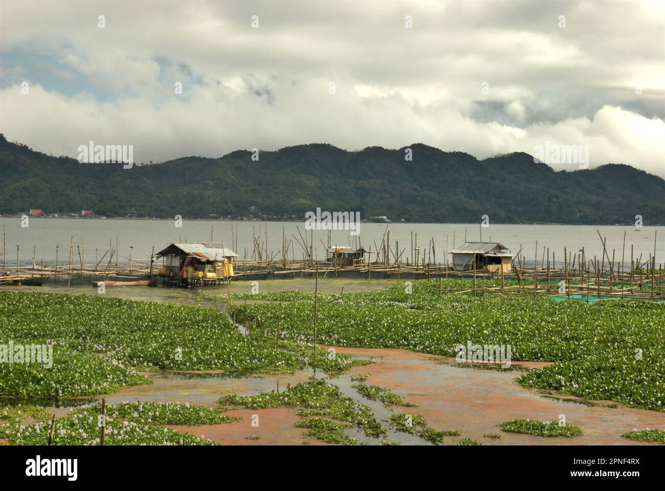 Scenery of Lake Tondano where a fish farm is built, in a foreground of ...