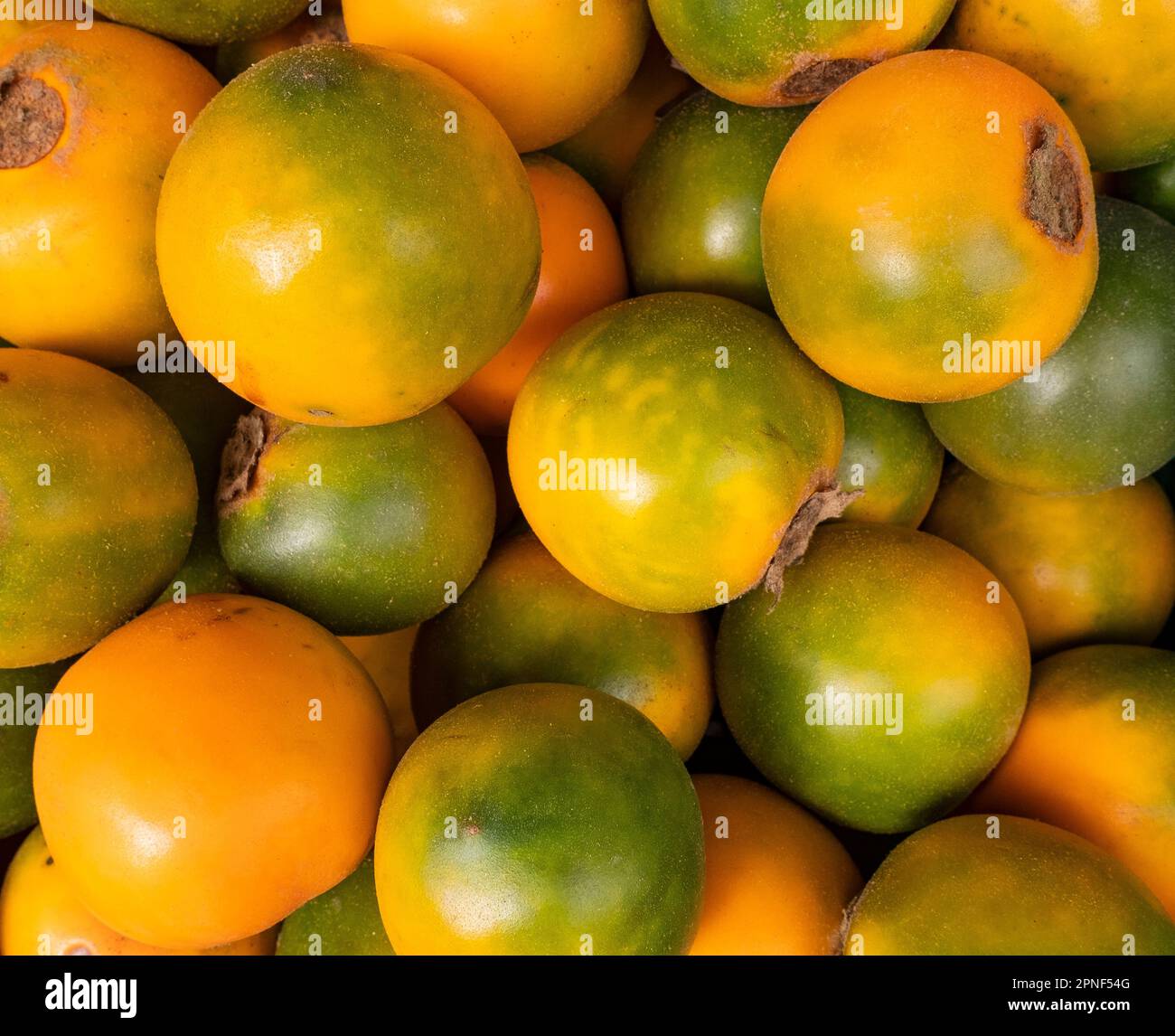 Lulo tropical fruit in Colombian market square - Solanum quitoense ...