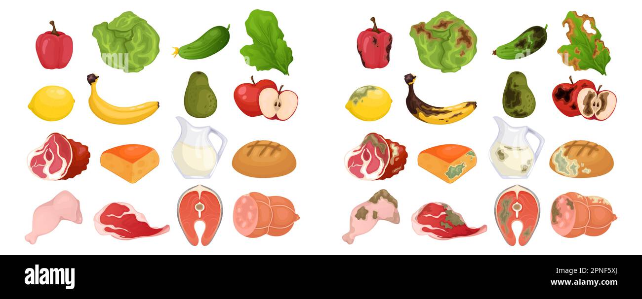 Fresh and rotten food set of fruits vegetables meat bread and dairy ...