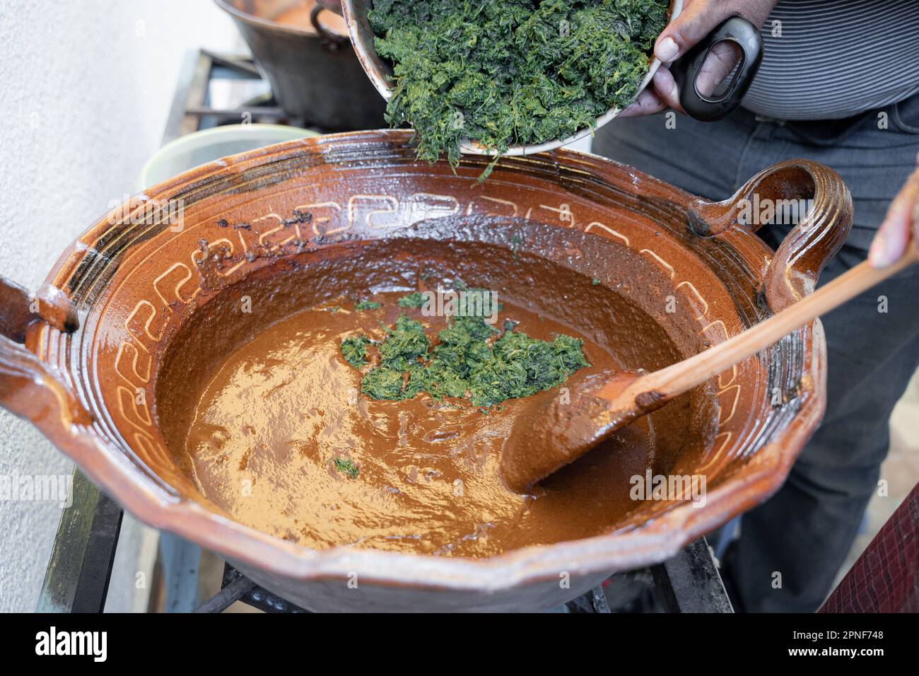 An adult Hispanic man is dropping rosemary to prepare revoltijo mole ...