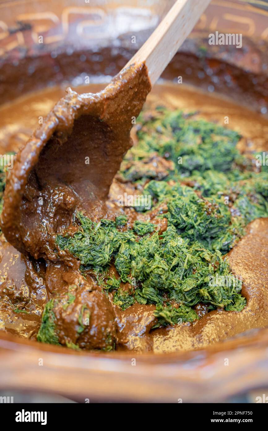 An adult Hispanic woman is mixing rosemary to prepare revoltijo mole ...