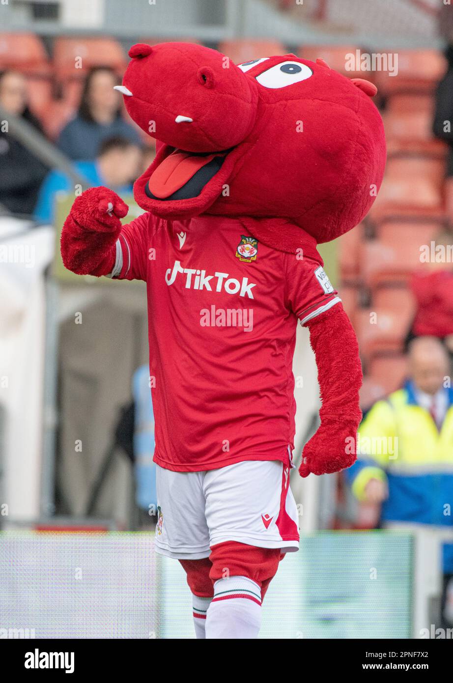 Welsh dragon mascot hi-res stock photography and images - Alamy