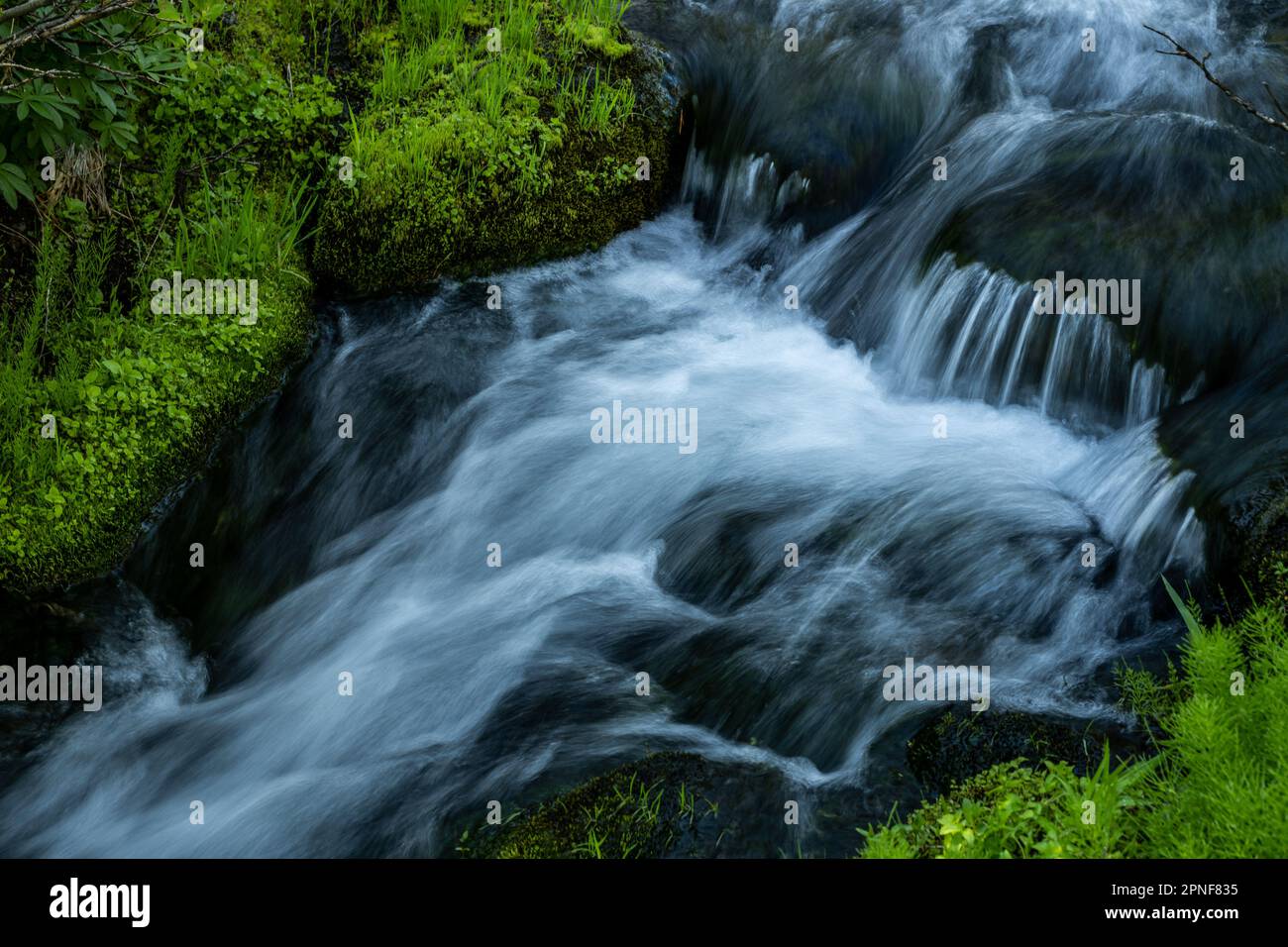 Cascade Through Moss of Paradise Meadows in Lassen Volcanic National ...