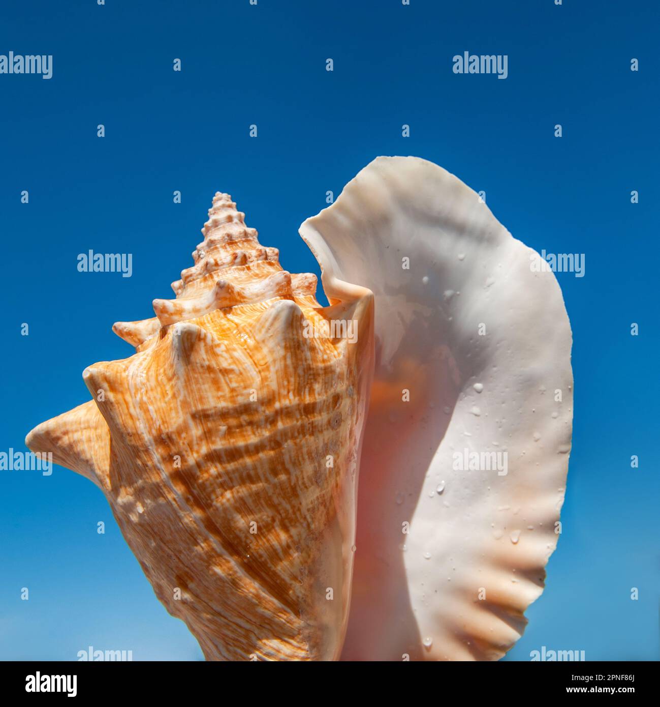 Clear tropical sky hi-res stock photography and images - Alamy