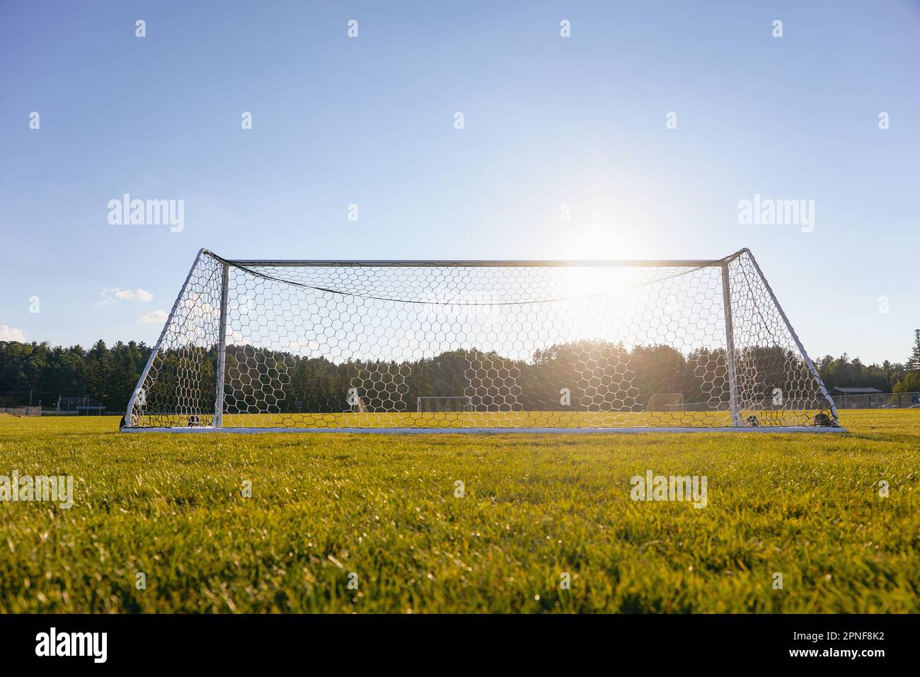 Soccer goal in field in sunshine Stock Photo - Alamy
