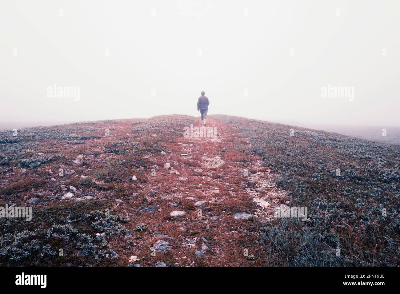 Canada, Labrador, Newfoundland, Woman walking on path into fog Stock ...