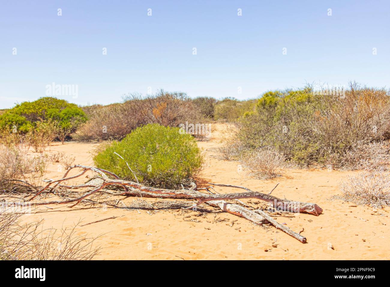 Arid landscape at Peron Homestead Precint in Francois Peron National ...