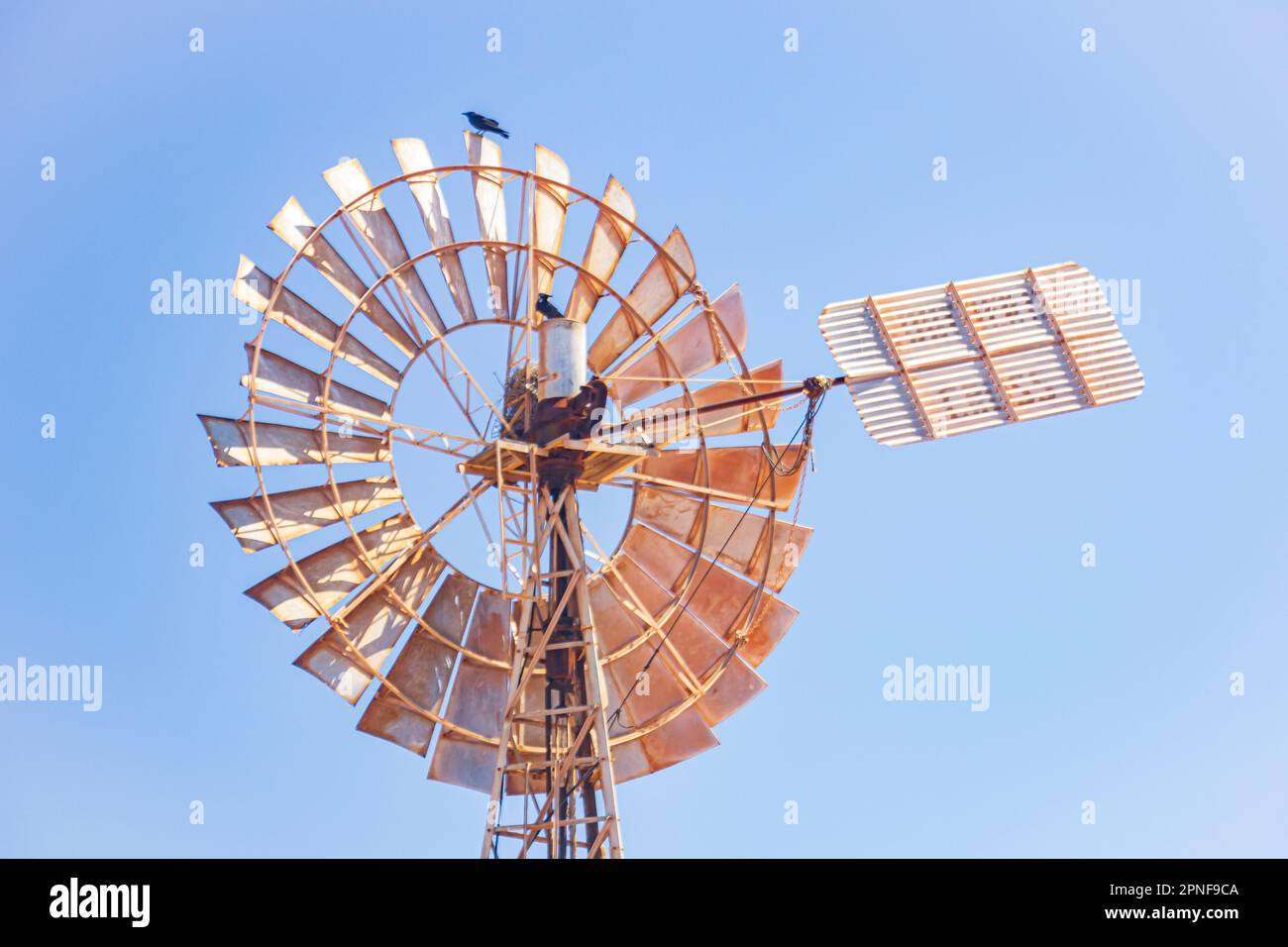 An old windmill at Peron Homestead Precint in Francois Peron National ...