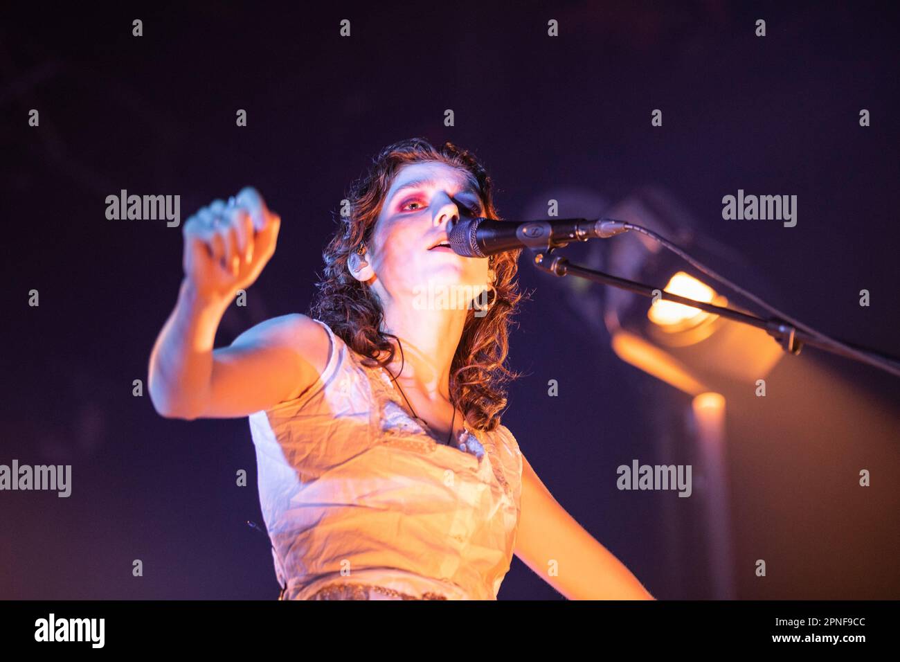 Birdy 2023 hi-res stock photography and images - Alamy