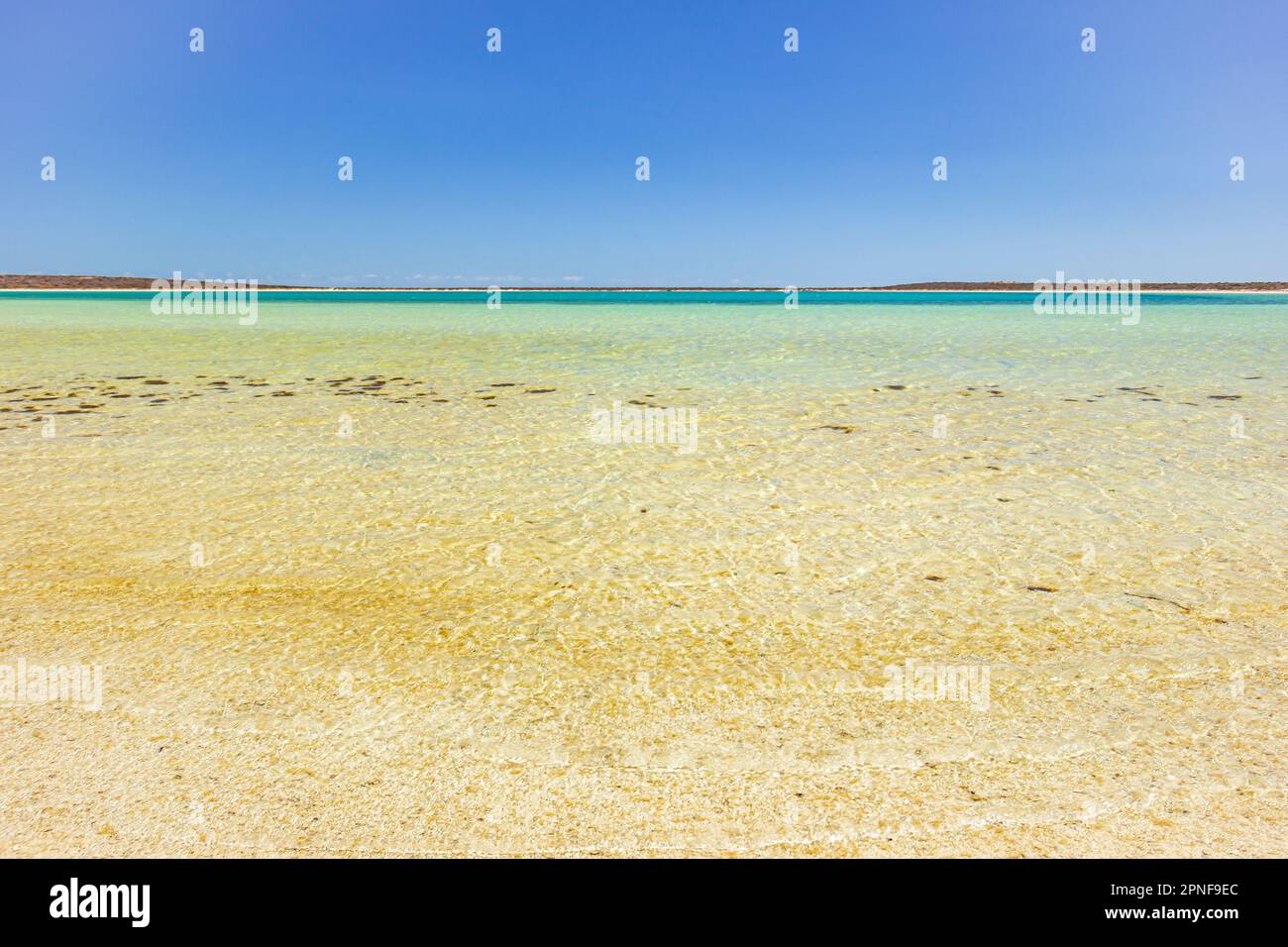 Tranquil shallow water of Little lagoon near Denham, Western Australia ...