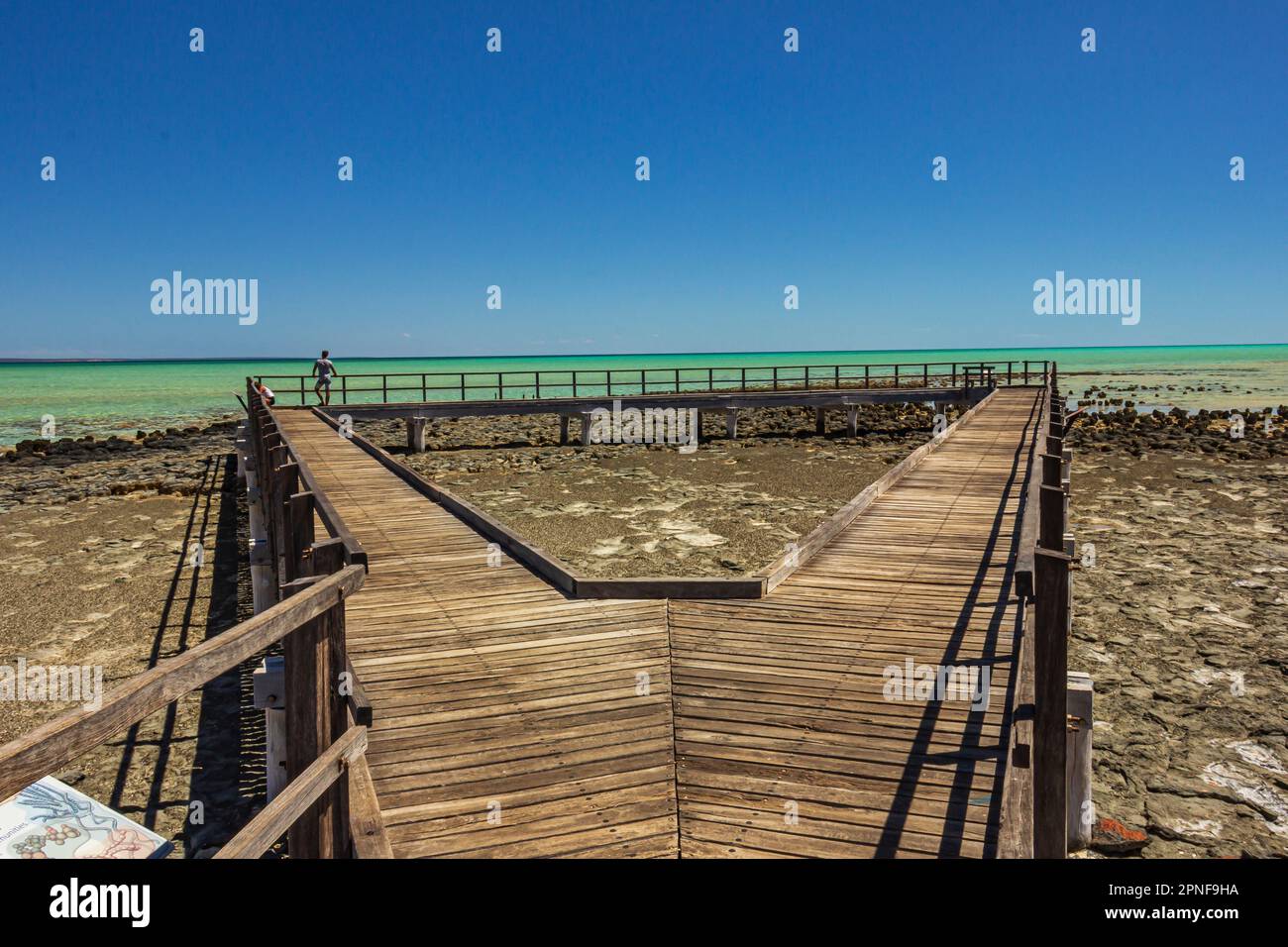 Boardwalk over stromatolites, the earth's oldest life form at Hamelin ...